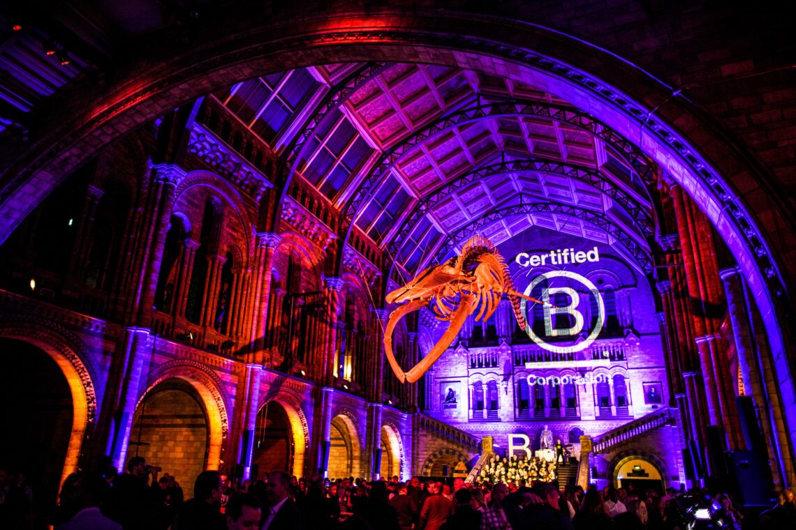 What’s Life Really Like As A B Corp? Natilik Reveals All
