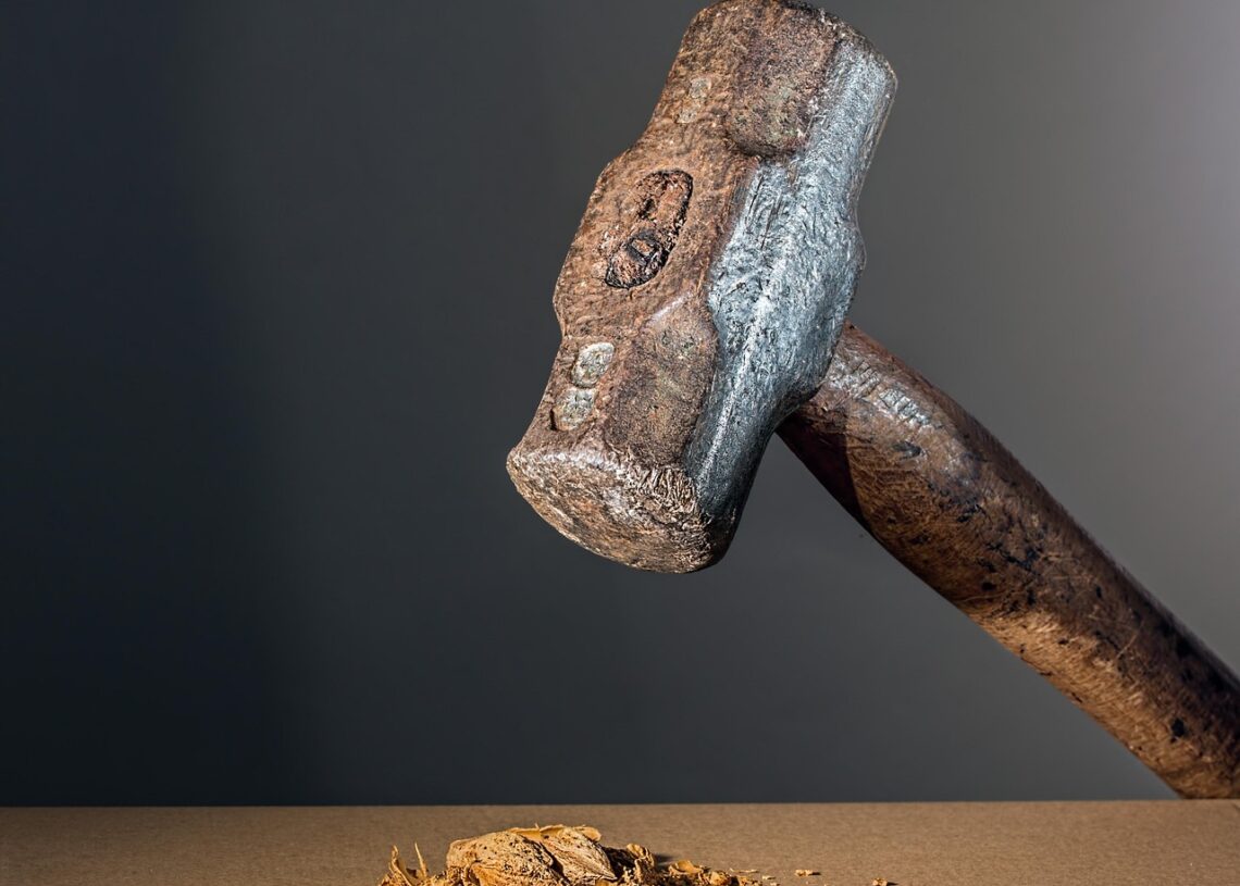 Storm Technologies Returns To Growth In Year Of Two Halves